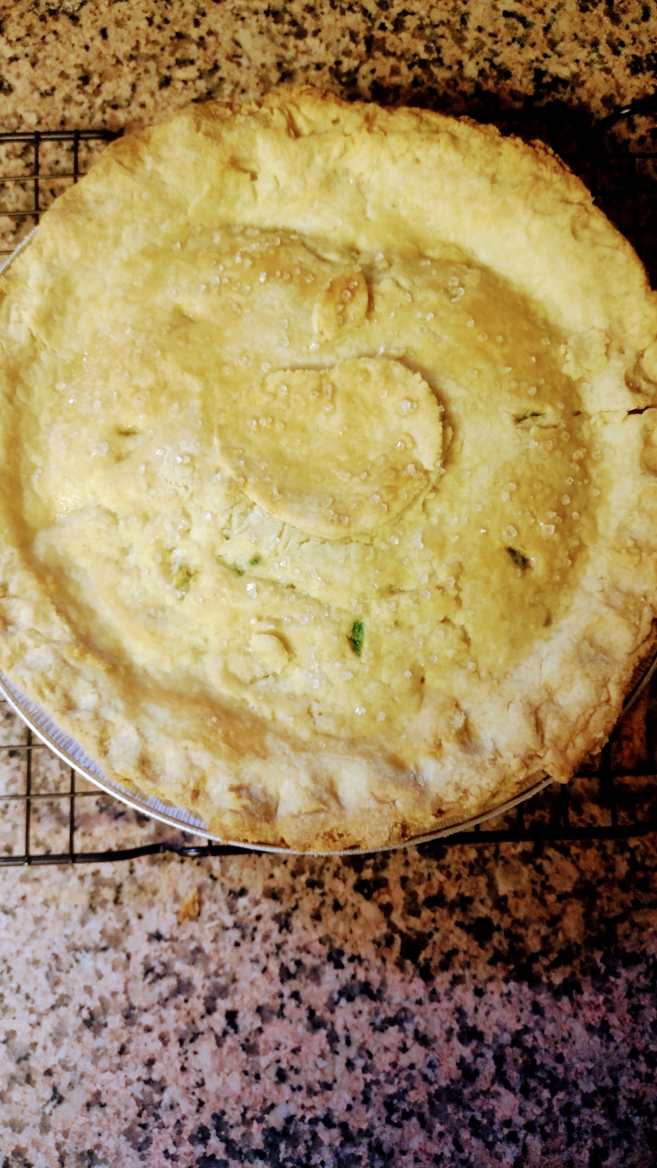 Snow White’s Gooseberry Pie – Kay's Cakes